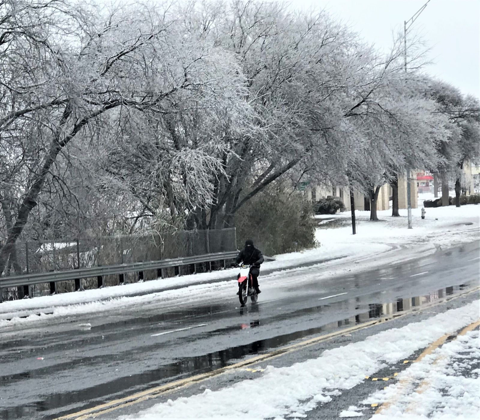 Austin Winter Storm Relief - Float On Boat Rentals
